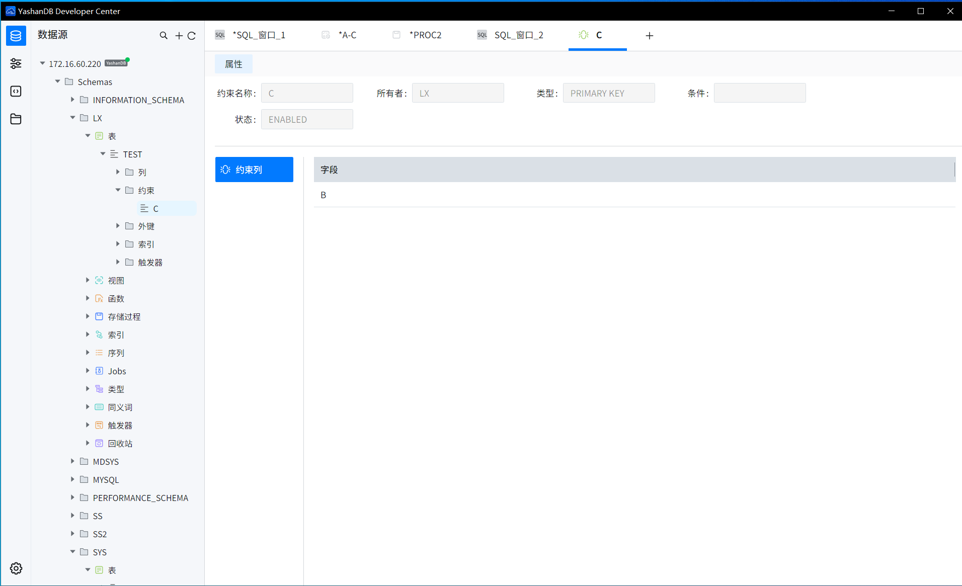 约束 | YashanDB Doc